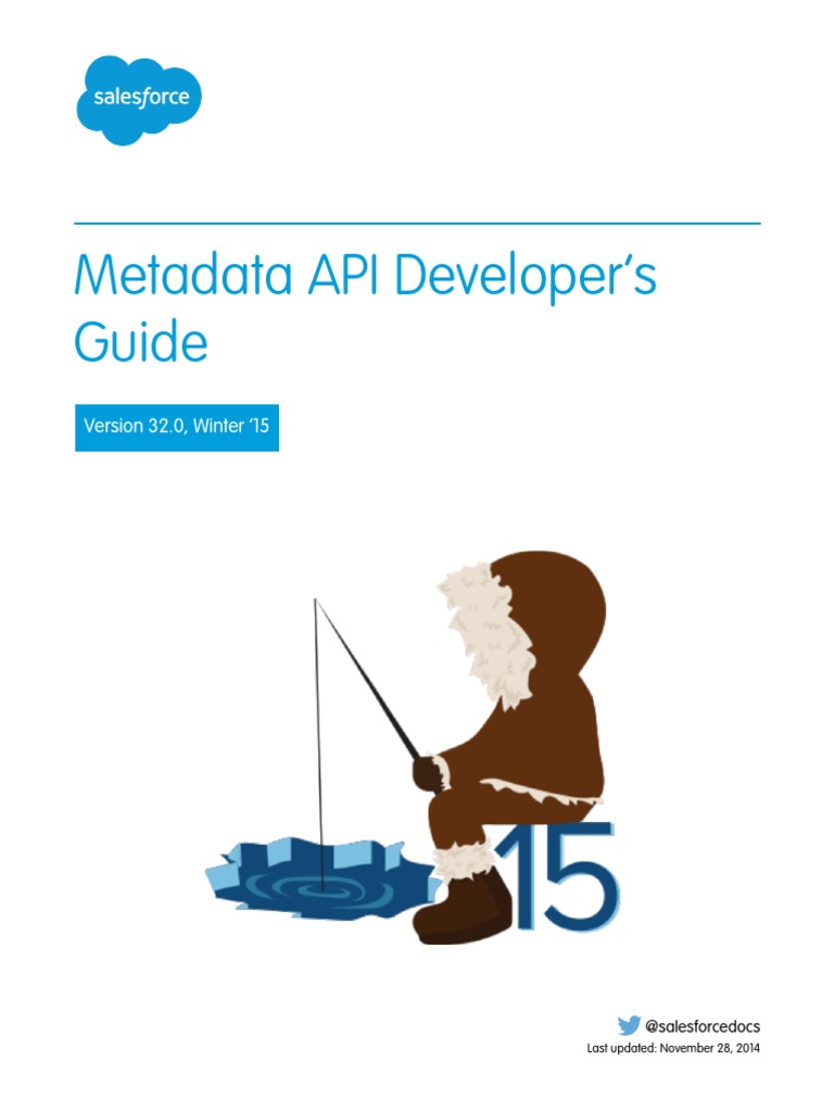 API Metadata Guide | PDF | Application Programming Interface ...