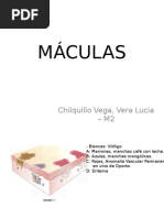 Macula o Mancha Definicion y Clasificacion | PDF