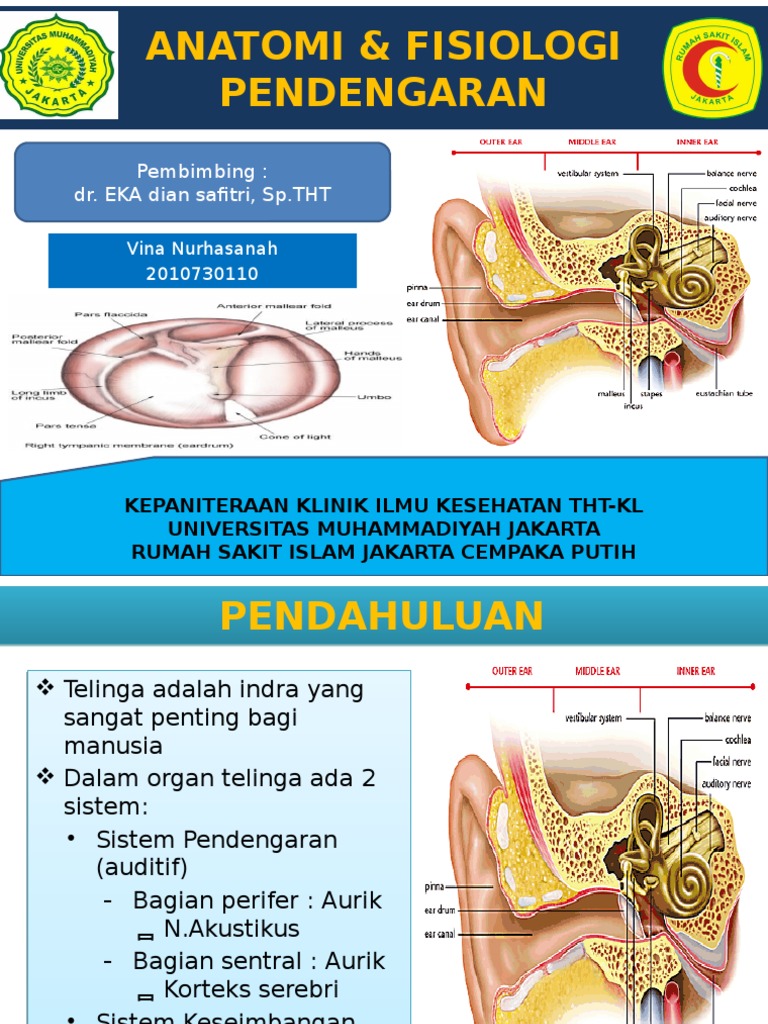 Anatomi Pendengaran | PDF