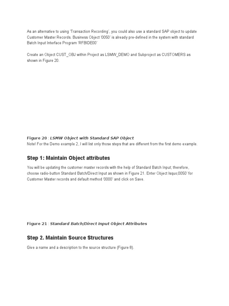 LSMW | PDF | File Format | Text File