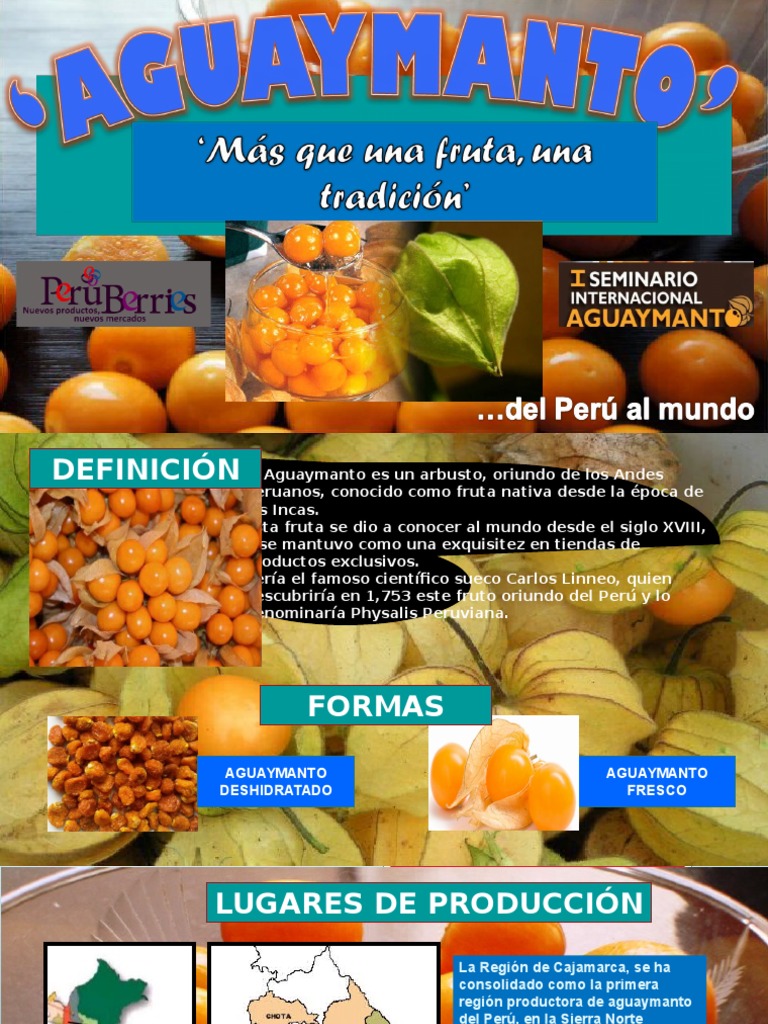 AGUAYMANTO-ppt | Perú | Exportaciones