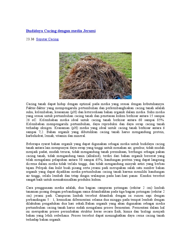 Budidaya Cacing Dengan Media Jerami | PDF | Sains & Matematika ...
