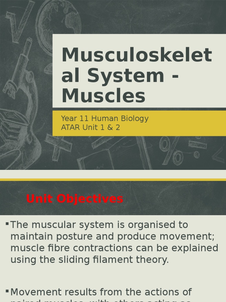 Musculoskelet Al System - Muscles: Year 11 Human Biology ATAR Unit 1 ...