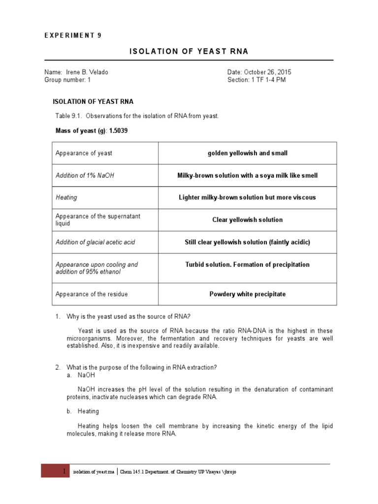 Isolation of Yeast Rna | PDF | Wellness