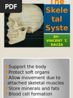 Muscle OIA | PDF | Vertebral Column | Vertebra