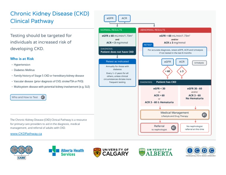 Guidelines for Testing, Diagnosing and Managing Chronic Kidney Disease ...