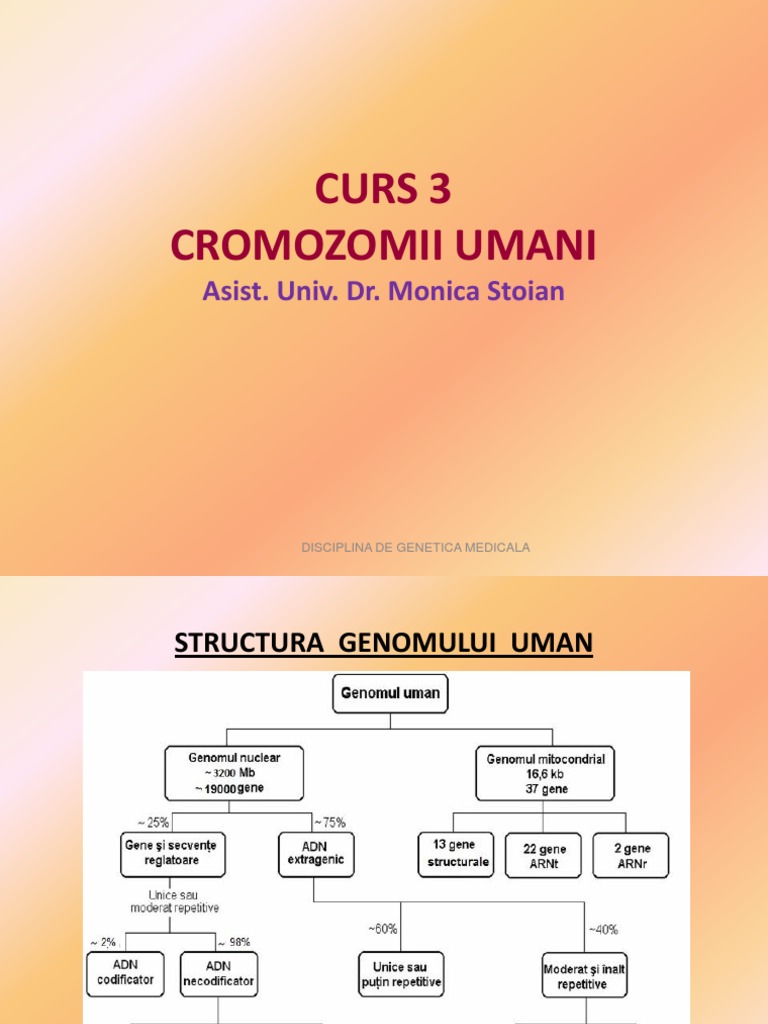 Cromozomii Umani | PDF