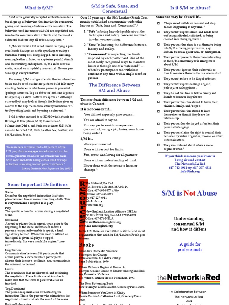 SM For Professionals PDF | PDF | Bdsm | Dominance And Submission