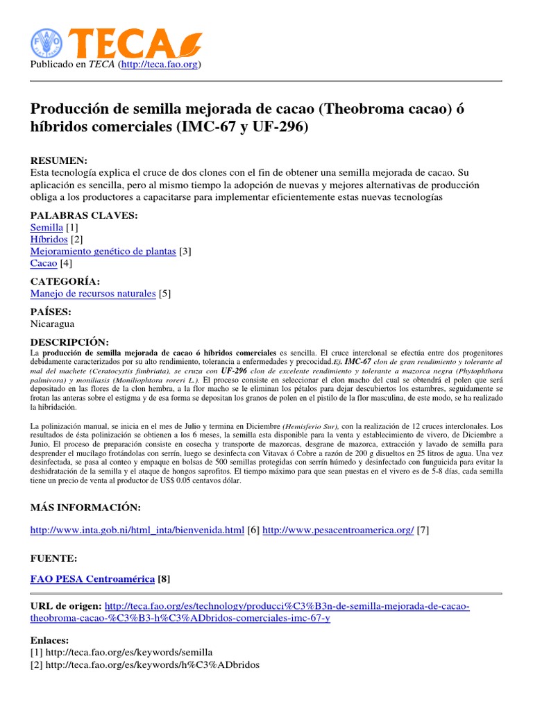 TECA - Producción de Semilla Mejorada de Cacao (Theobroma Cacao) Ó ...