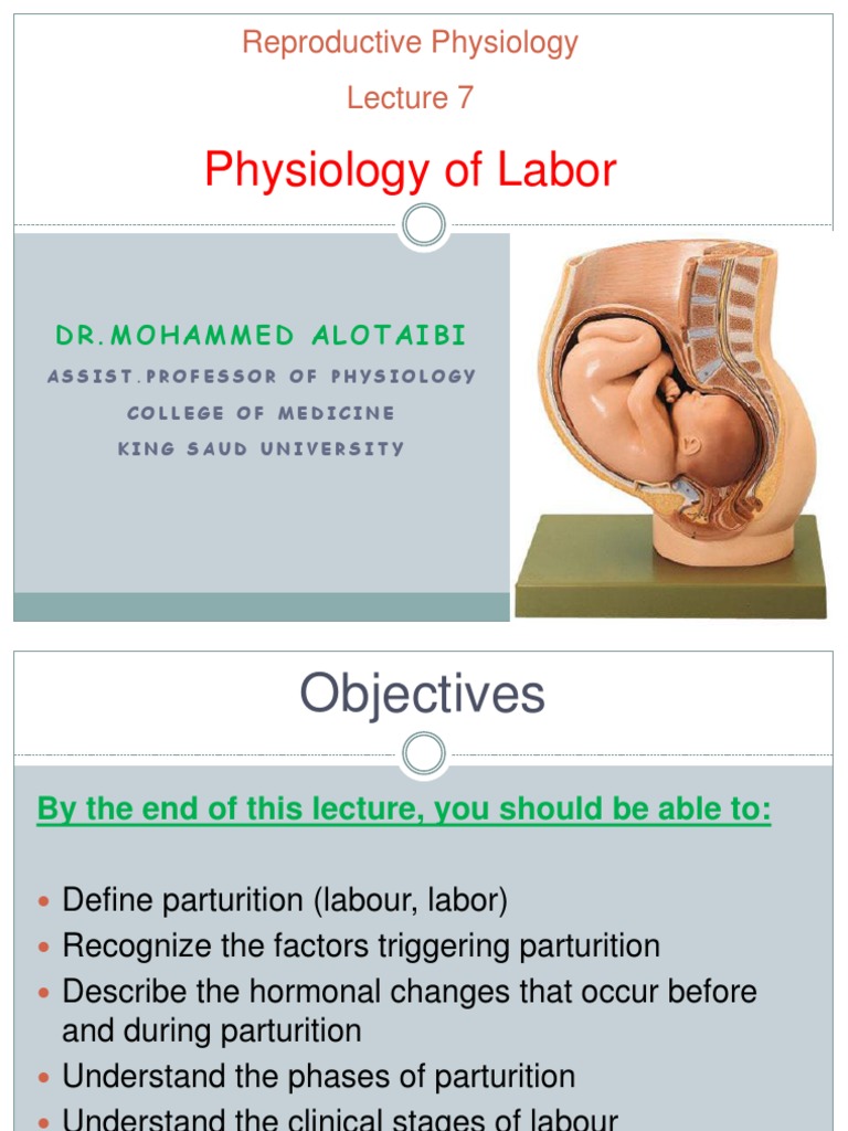 Lecture 7- Physiology of Labor | Uterus | Childbirth
