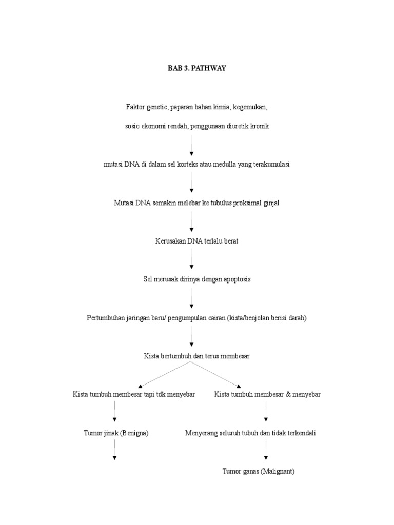 Pathway Kanker Ginjal dan Tumor | PDF