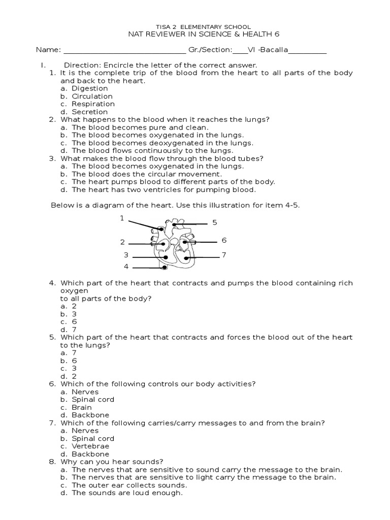 NAT Reviewer in Science 6 | PDF | Plate Tectonics | Stars
