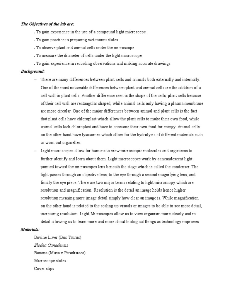 IB Biology Microscope Cell Lab | PDF | Cell (Biology) | Optics