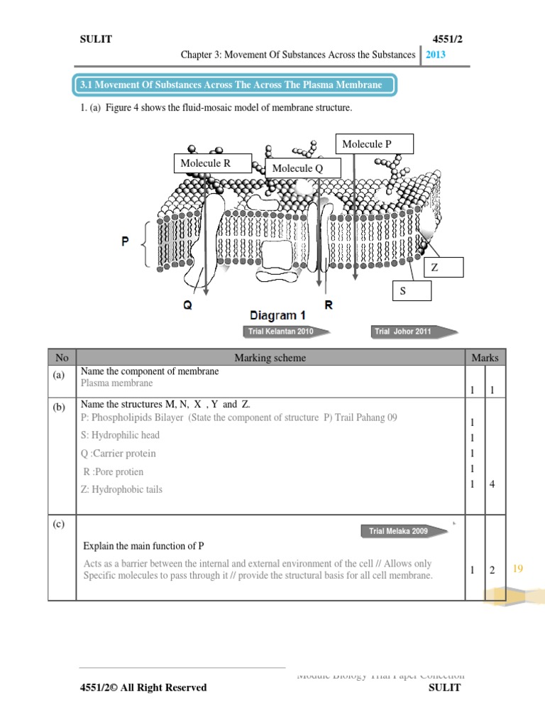 BIOLOGY Form 4 Chapter 3 | PDF | Science & Mathematics | Technology ...