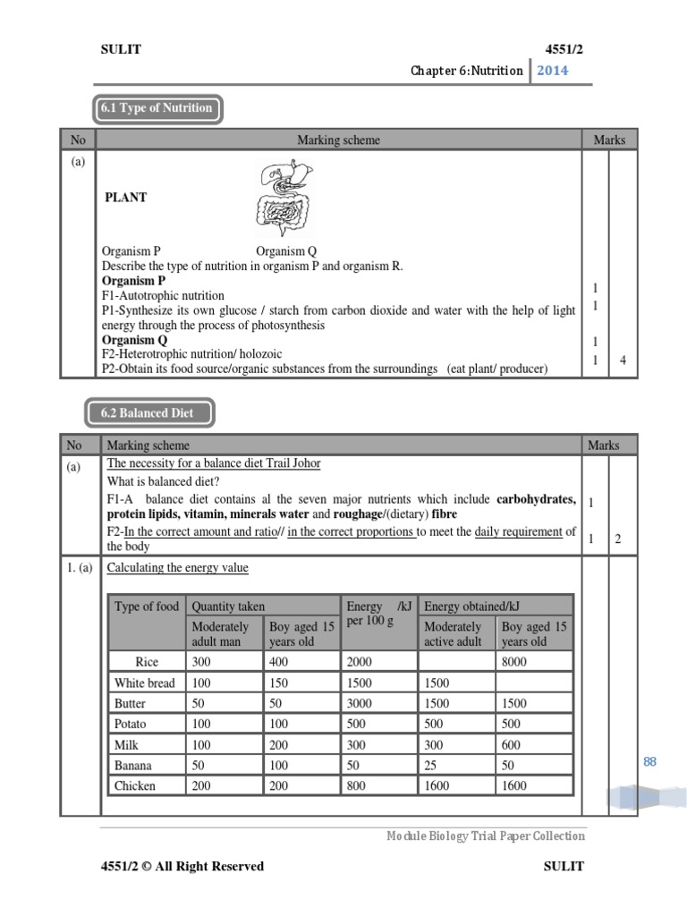 BIOLOGY Form 4 Chapter 6 | PDF | Digestion | Glycogen