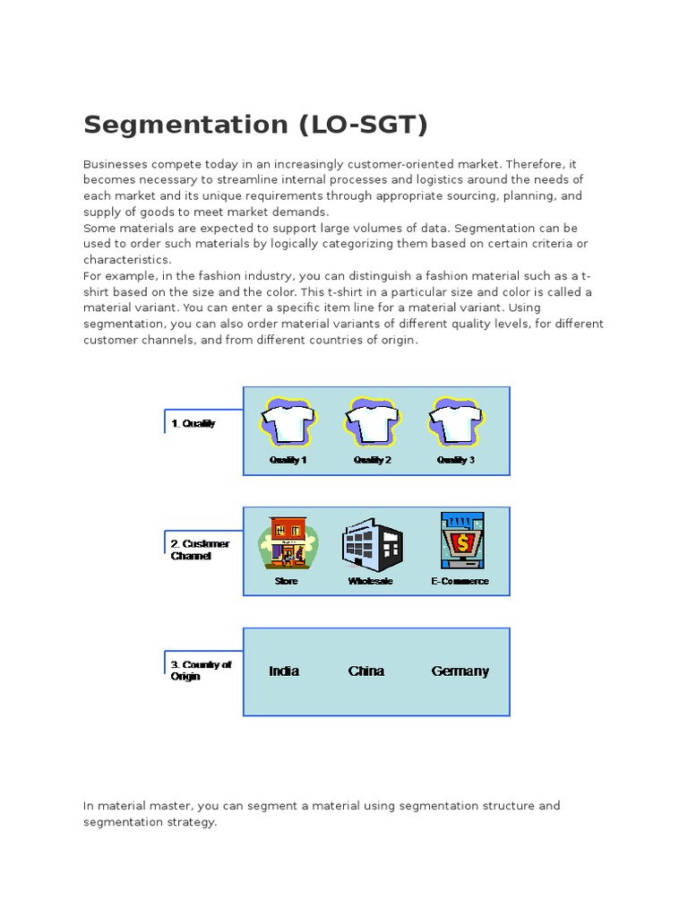 Material Segmentation in SAP Logistics | PDF | Market Segmentation ...