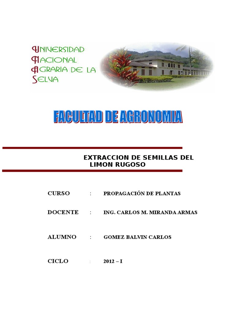 Extraccion de SeEXTRACCION DE SEMILLAS DEL LIMON RUGOSOmillas de Limon ...