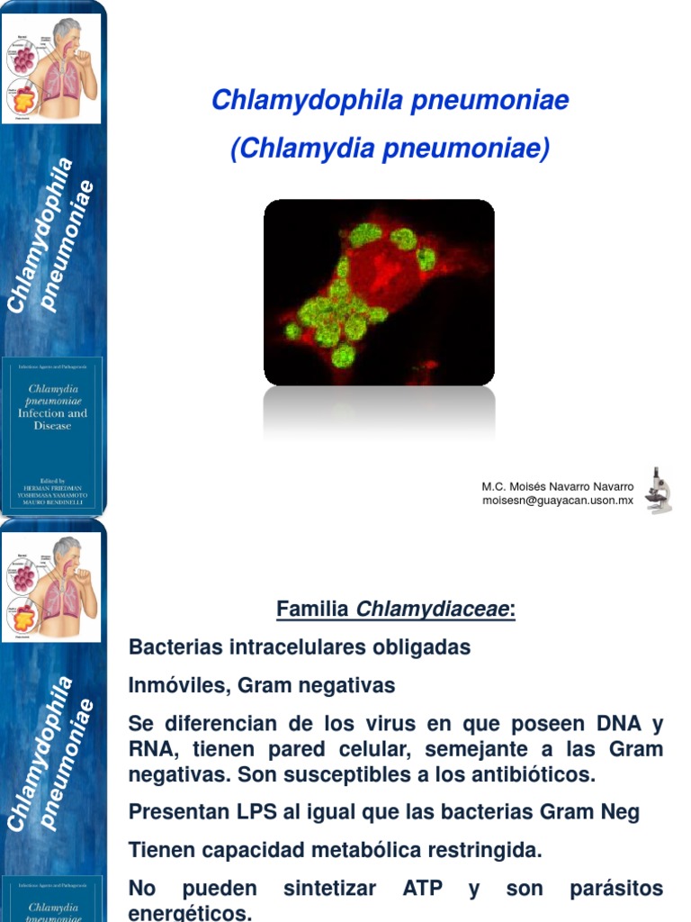 Chlamydia Pneumoniae | PDF | Medicina CLINICA | Microorganismo