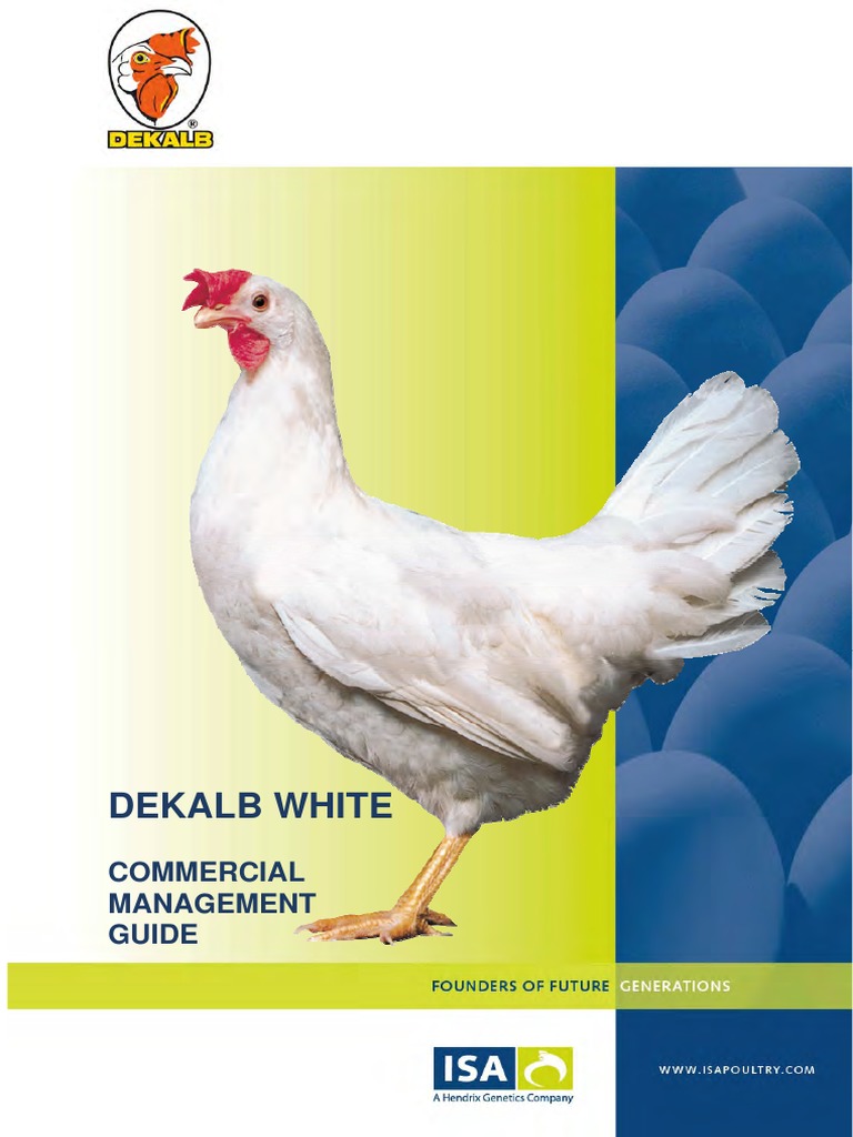 General Management Guide Commercials Dekalb White | Beak | Chicken