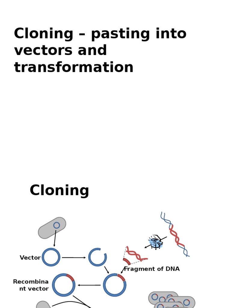 Cloning Paste Vectors | PDF | Molecular Cloning | Dna Ligase
