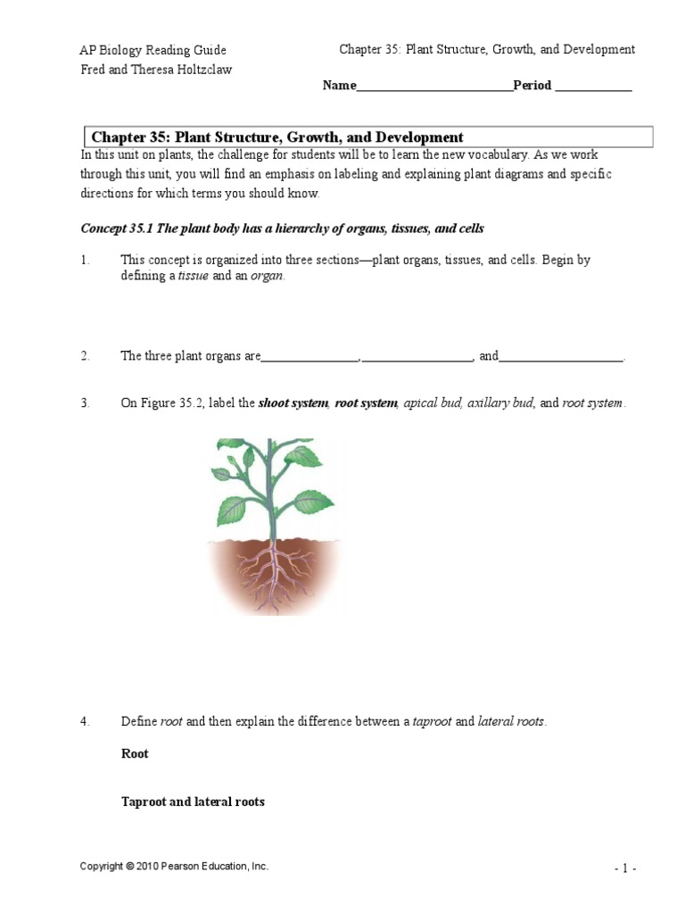 Chapter 35-39 Reading Guide Unit 6 | PDF | Bark | Fertilisation