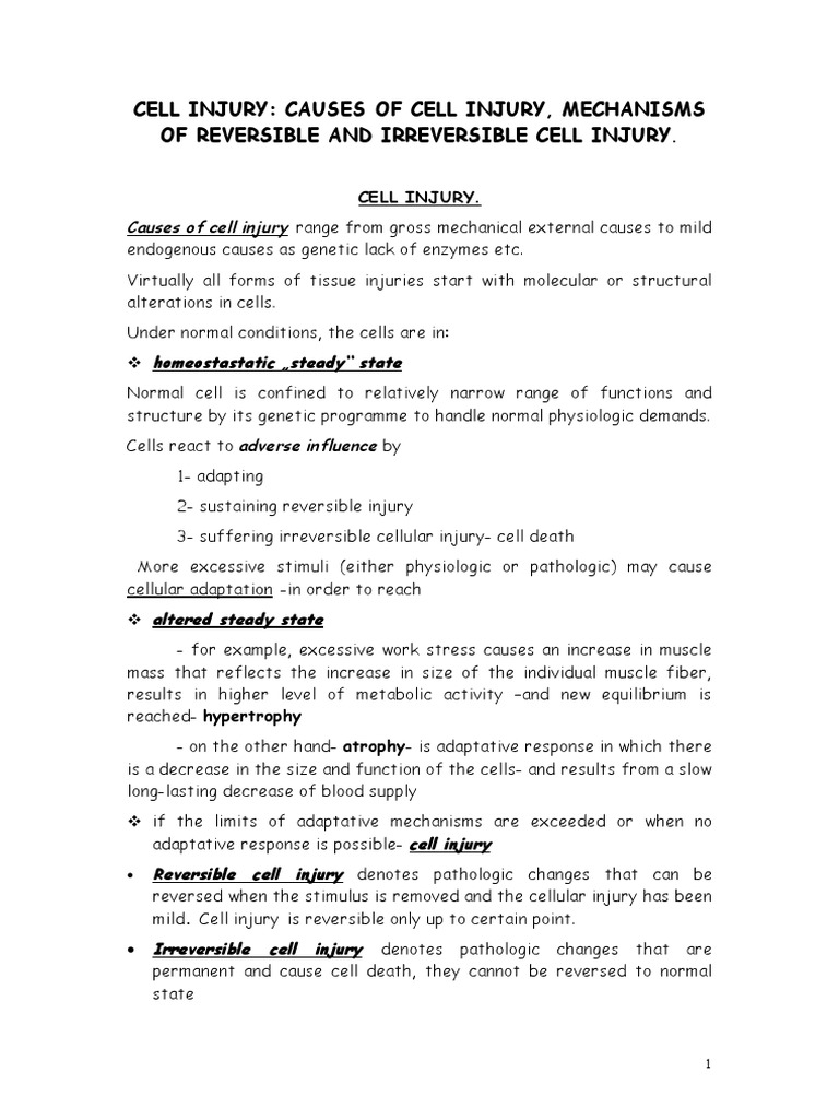 Causes and Mechanisms of Cell Injury | PDF
