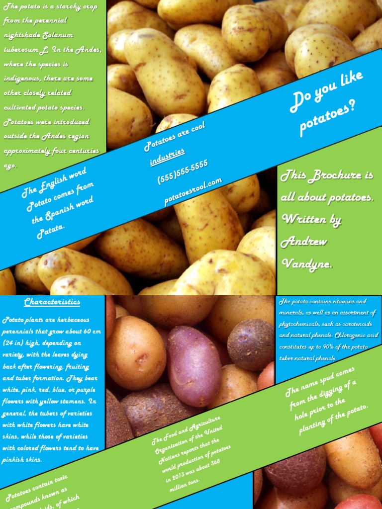 Potato Varieties and Characteristics Brochure | PDF | Technology ...