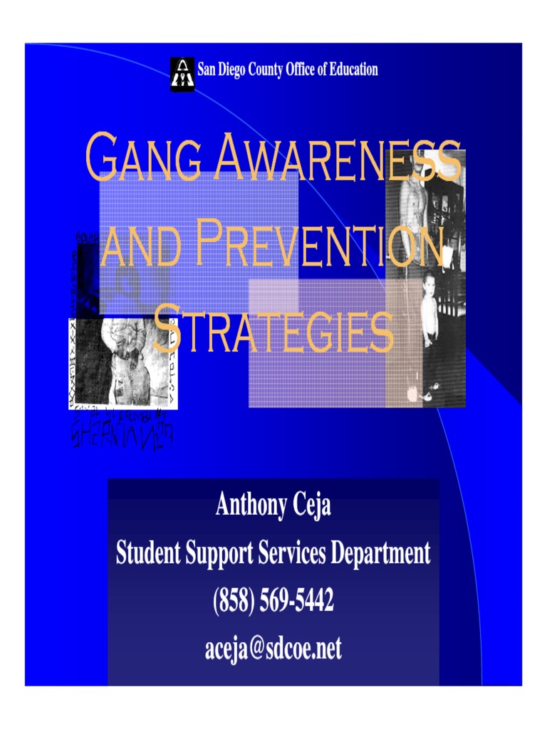 Gang Awareness and Prevention Strategies | PDF | Gang | White Supremacy