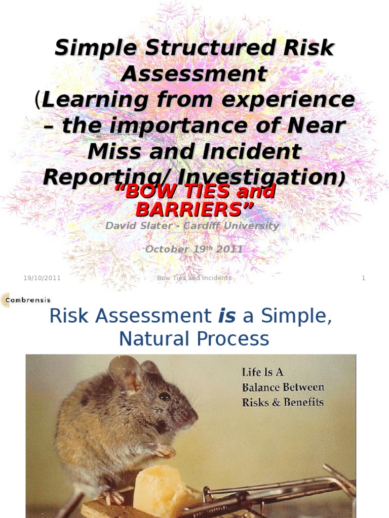 Simple Structured Risk Assessment Learning From Experience - The ...