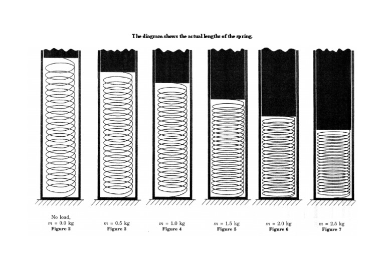 Actual Spring Lengths Diagram | PDF