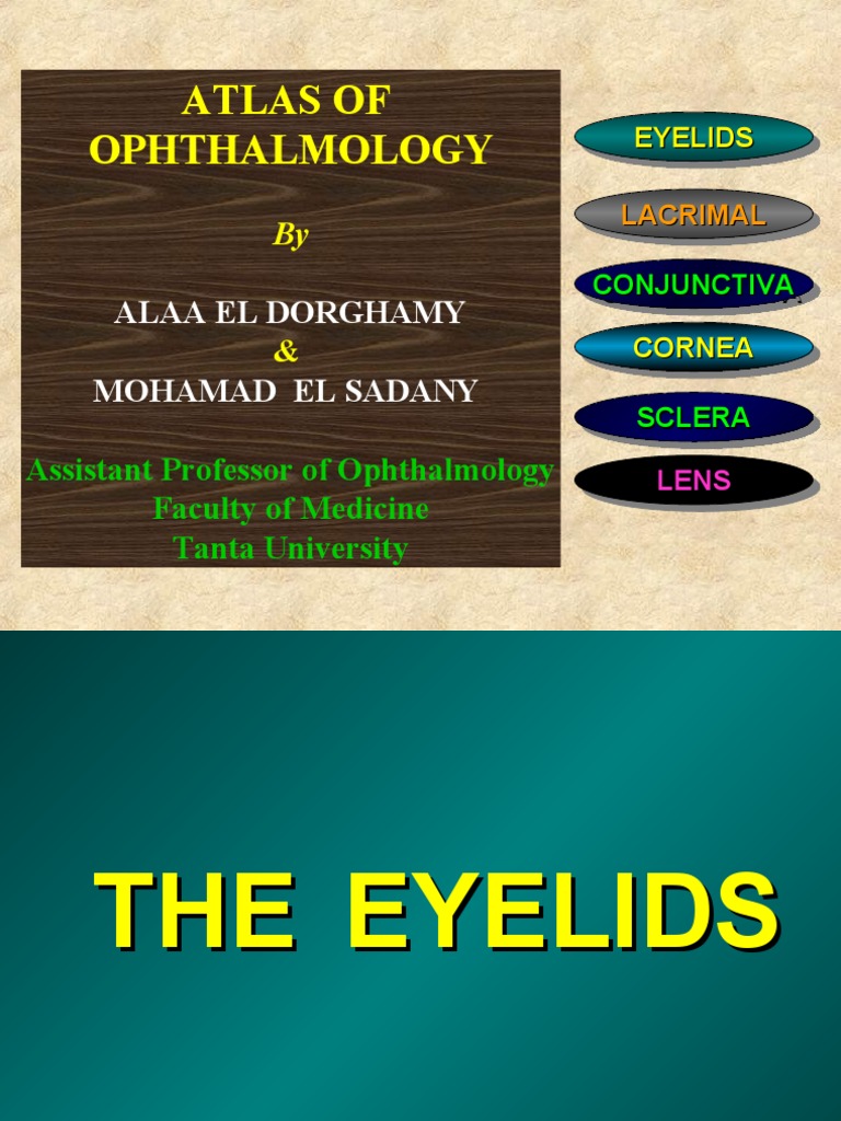 Atlas of Ophthalmology: Alaa El Dorghamy Mohamad El Sadany | PDF ...