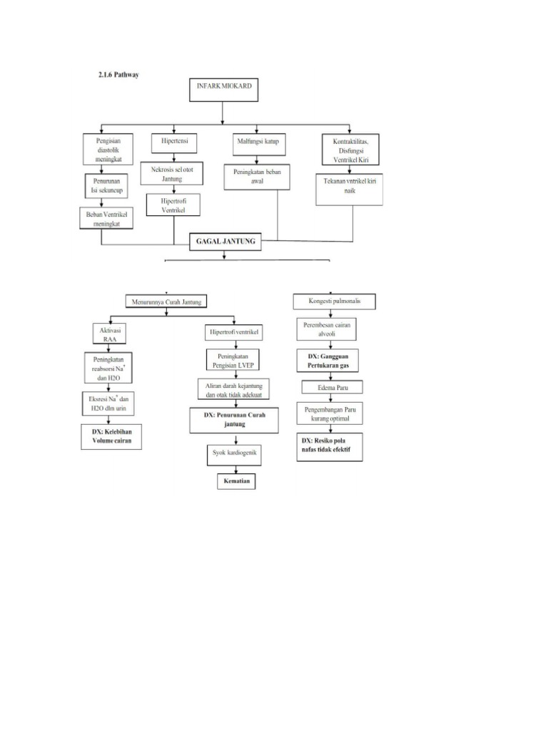 Pathway Infark Miokard Akut | PDF