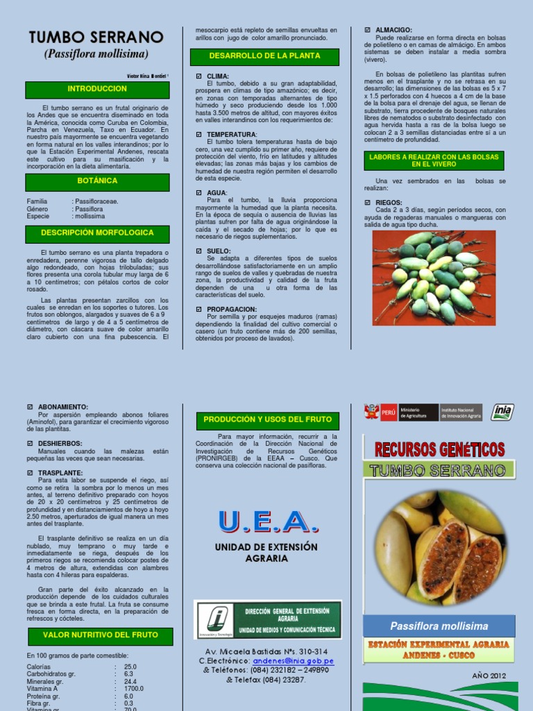 Tumbo Serrano | PDF | Horticultura y jardinería | Plantas