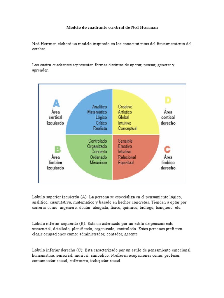 El modelo de cuadrante cerebral de Ned Herrman y sus implicaciones en ...