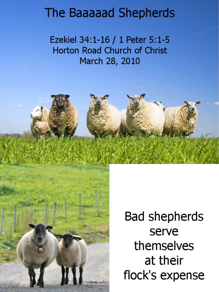 The Baaaaad Shepherds / Slides | PDF