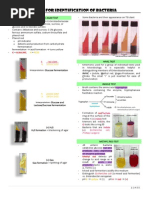 Biochemical Tests in Enterobacteriaceae | PDF | Chemical Compounds ...