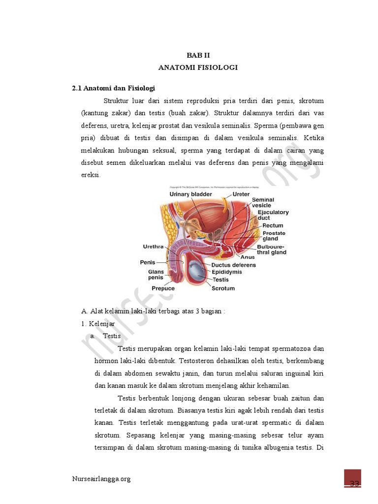 Proses Ejakulasi pada Pria | PDF | Kesehatan Holistik