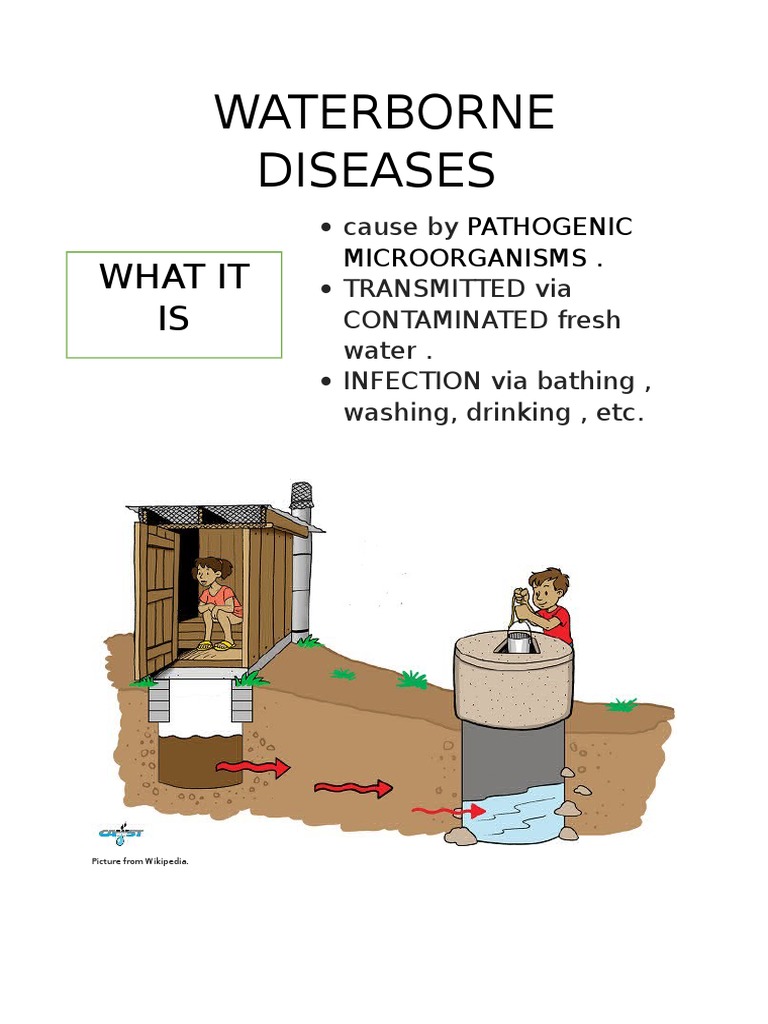 Waterborne Disease and Treatment Methods | PDF | Cooking, Food & Wine ...