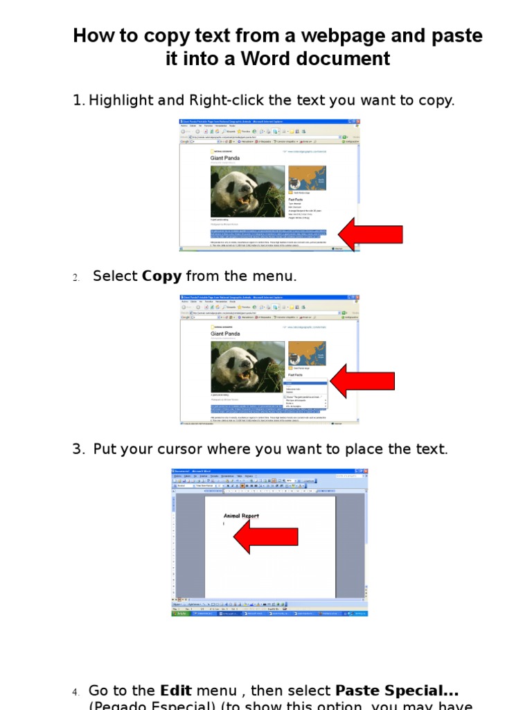 How To Copy Text From A Webpage and Paste It Into A Word Document | PDF