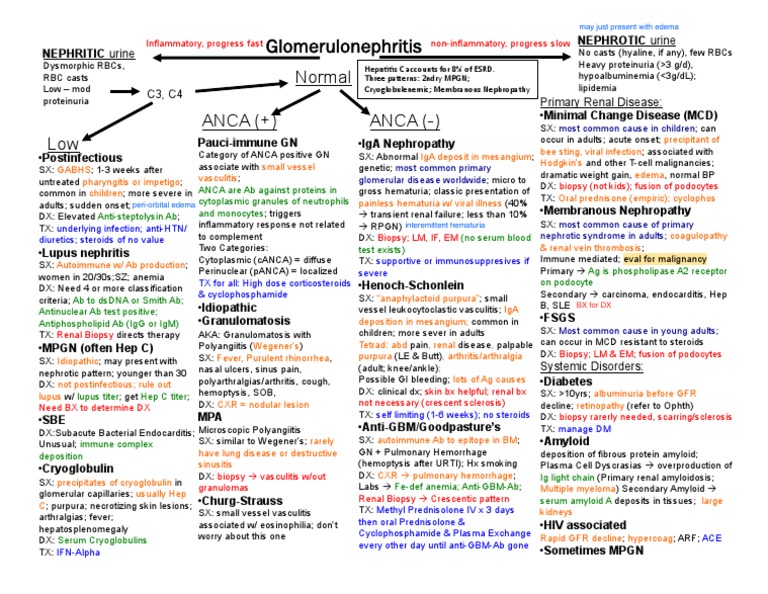 Glomerulonephritis Cheat Sheet.pdf | Immunology | Health Sciences