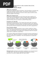 Liver Lab Report | PDF | Hydrogen Peroxide | Chemical Reactions