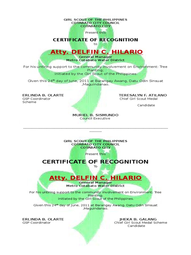 GSP Certificate Recog | PDF | Girl Guiding And Girl Scouting | Scouting