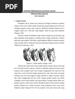 Indikasi dan Prosedur PSA Gigi | PDF
