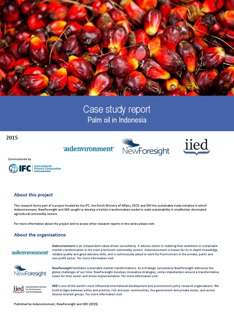 Case Study Report: Palm Oil in Indonesia | PDF | Governance ...