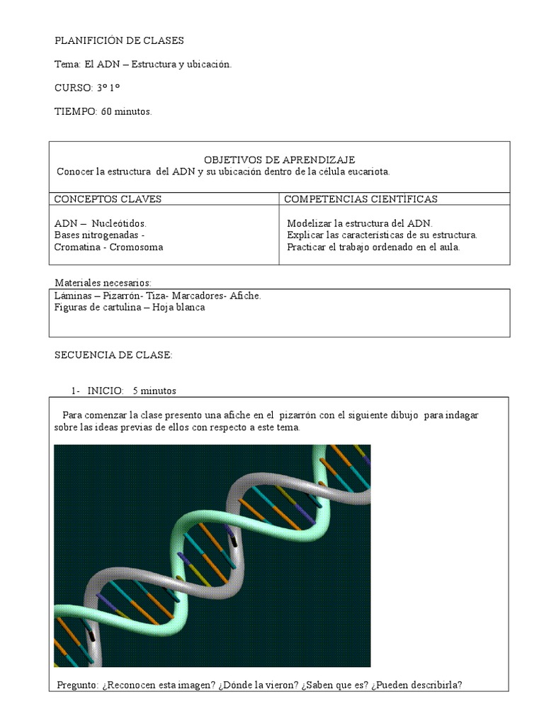 Plan de Clases ADN | PDF | Adn | Bioquímica