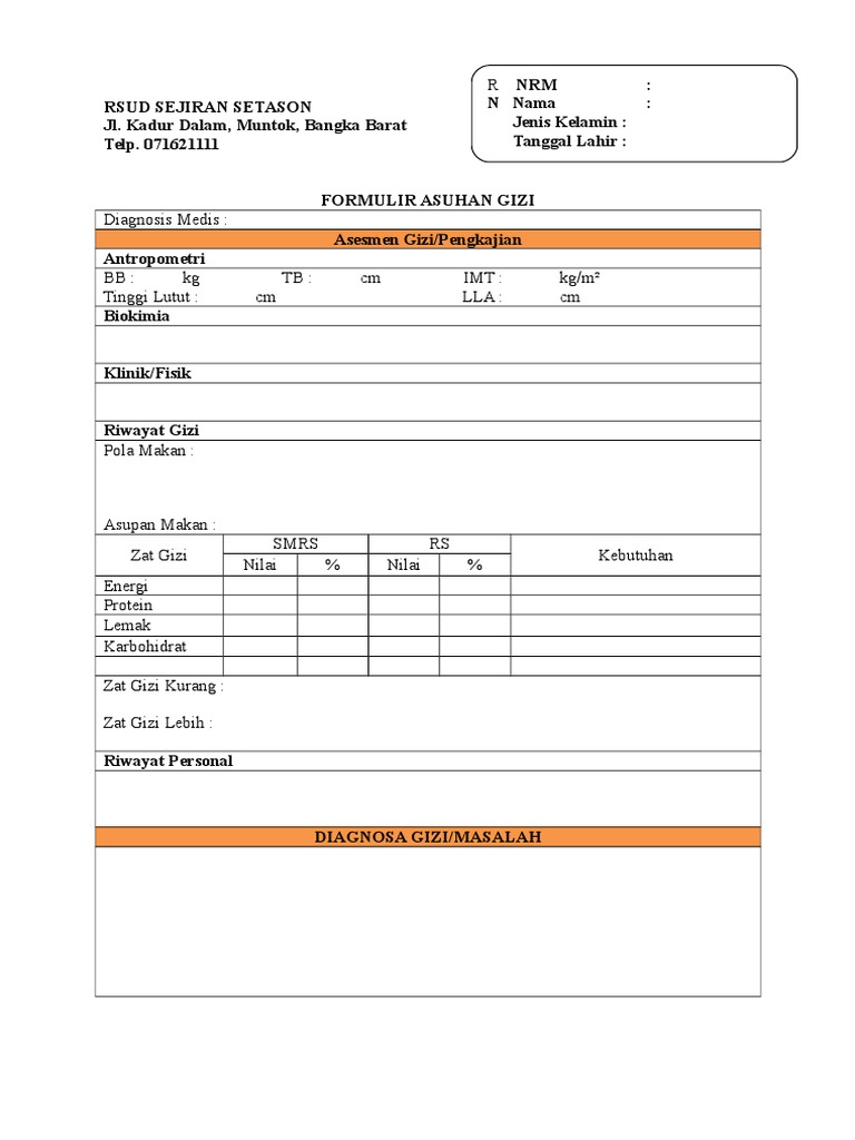 Formulir Asuhan Gizi | PDF