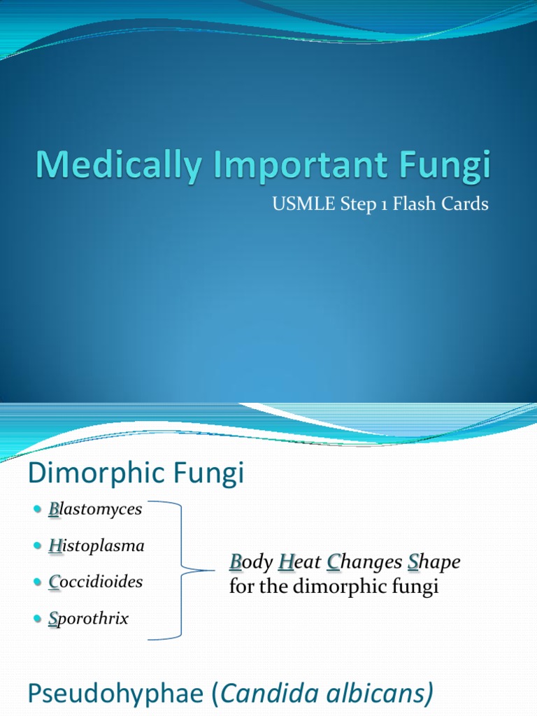 Medically Important Fungi | PDF | Yeast | Candidiasis