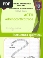 Antihipertensivos Clasificación y Dosis | PDF