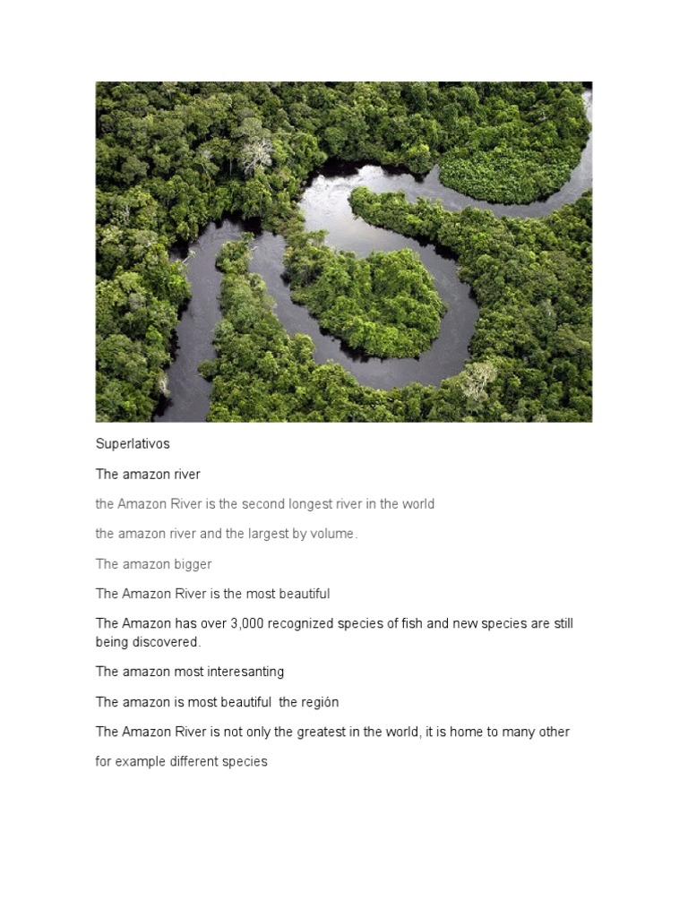 The Amazon River Is The Second Longest River in The World The Amazon ...