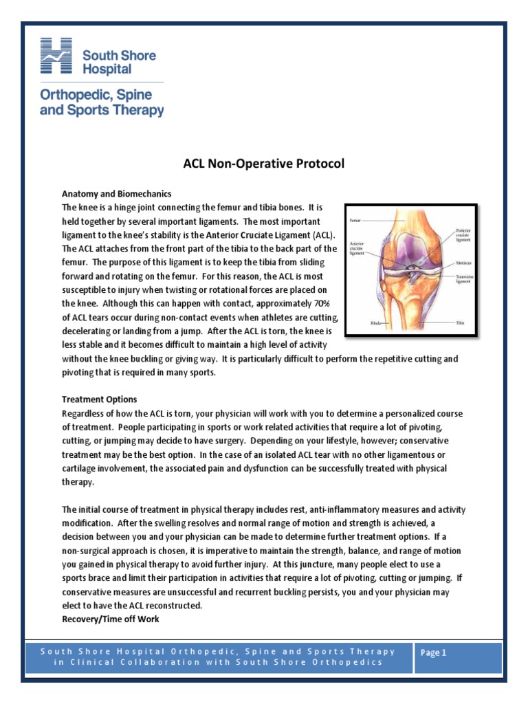 ACL Non-Operative Managment | PDF | Knee | Joints